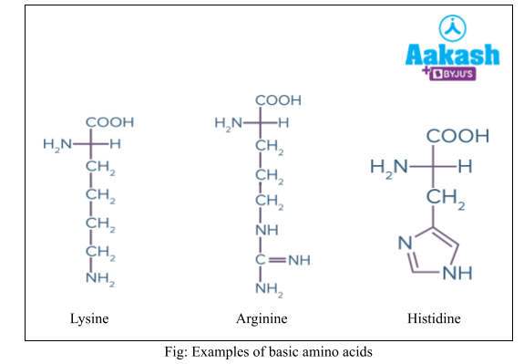Amino Acids: Structure, Types & Isomers of Amino Acids | AESL